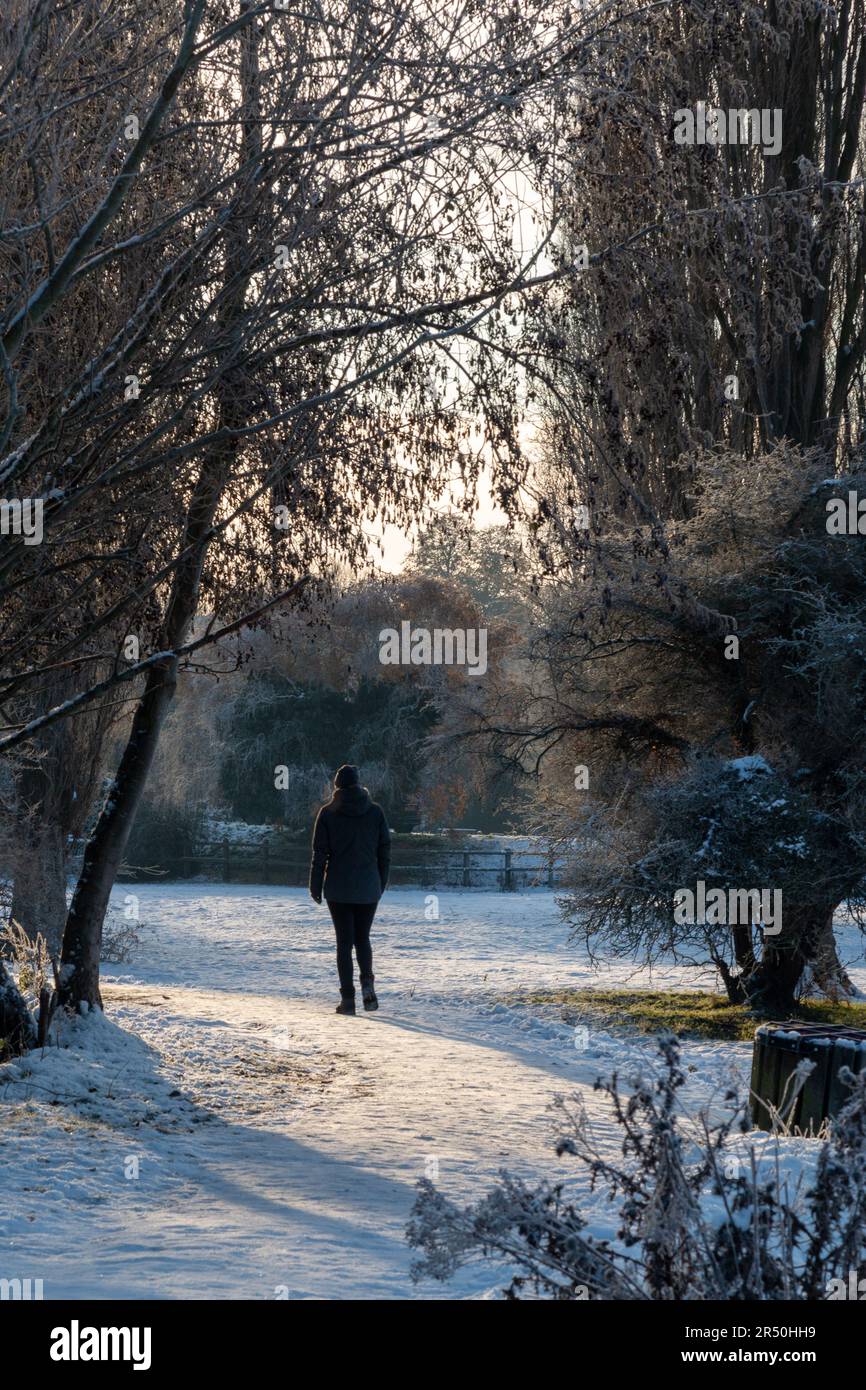 Coe fen hi-res stock photography and images - Alamy