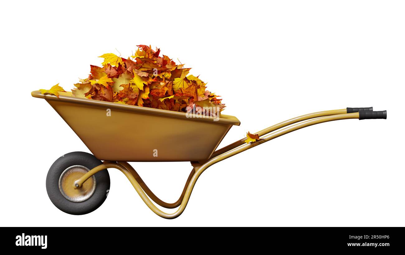 garden wheelbarrow with autumn leaves isolated on white background, 3d ...