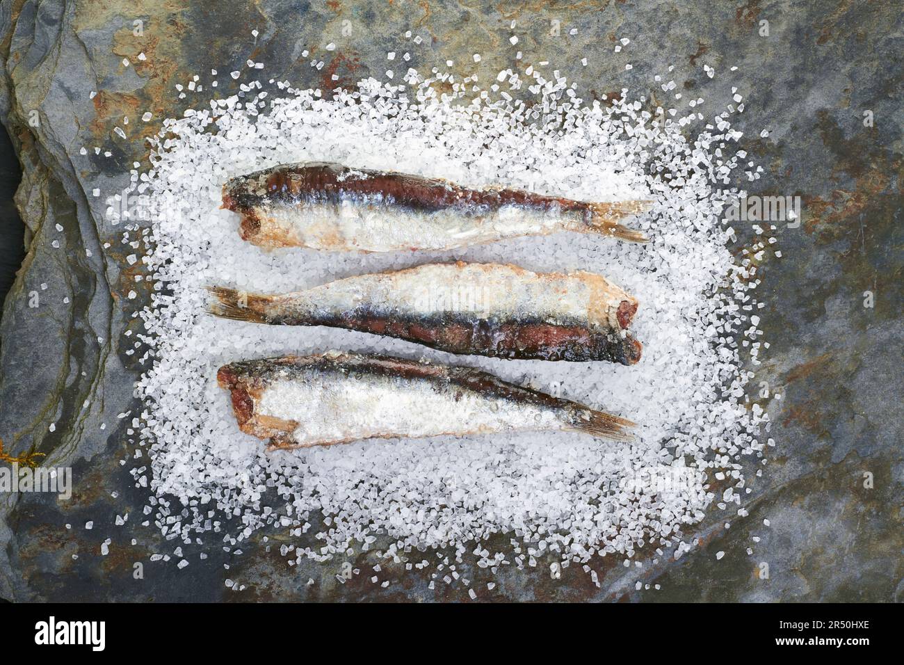 Cured anchovies with salt Stock Photo - Alamy
