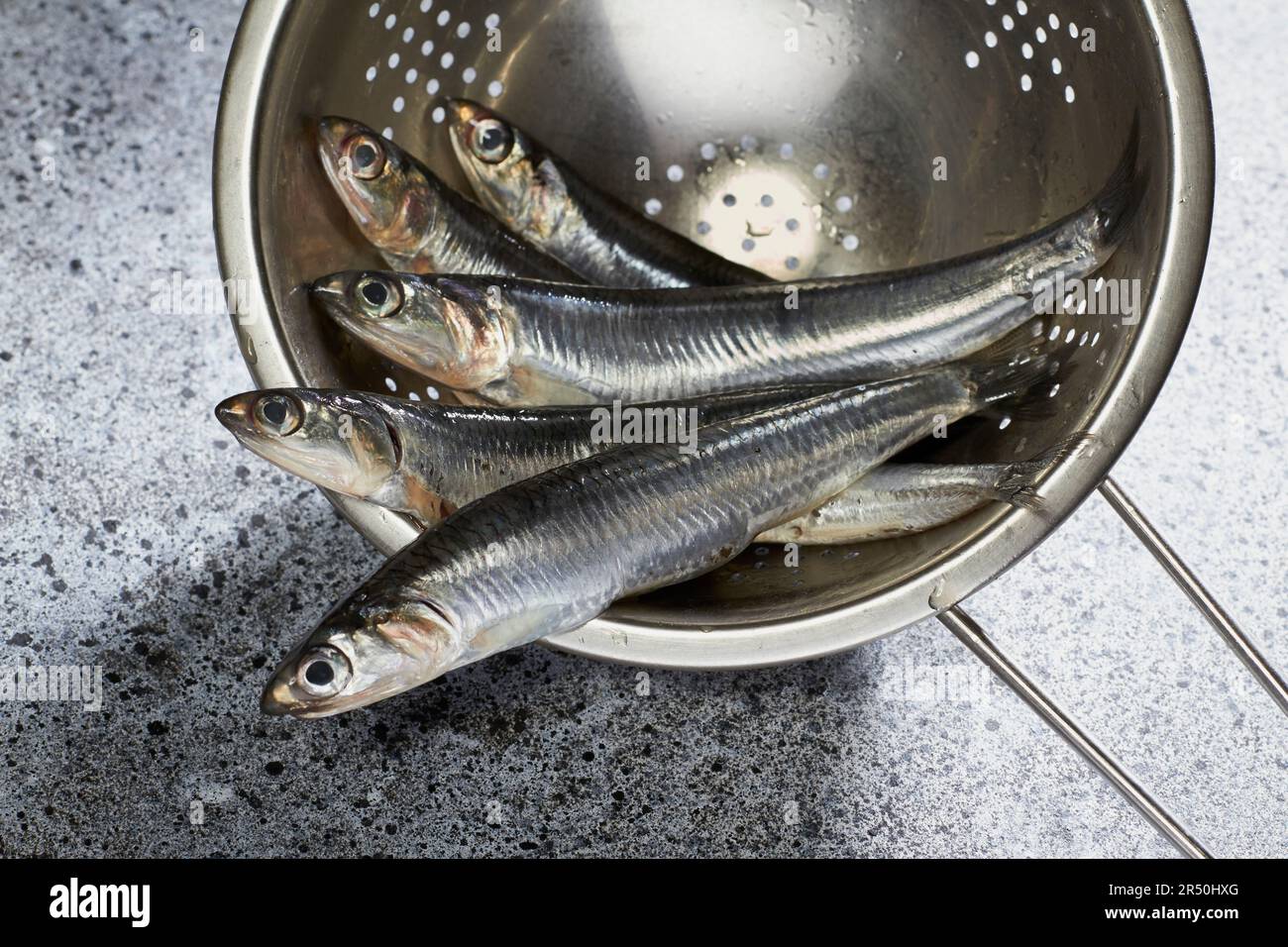 Sea colander hi-res stock photography and images - Alamy