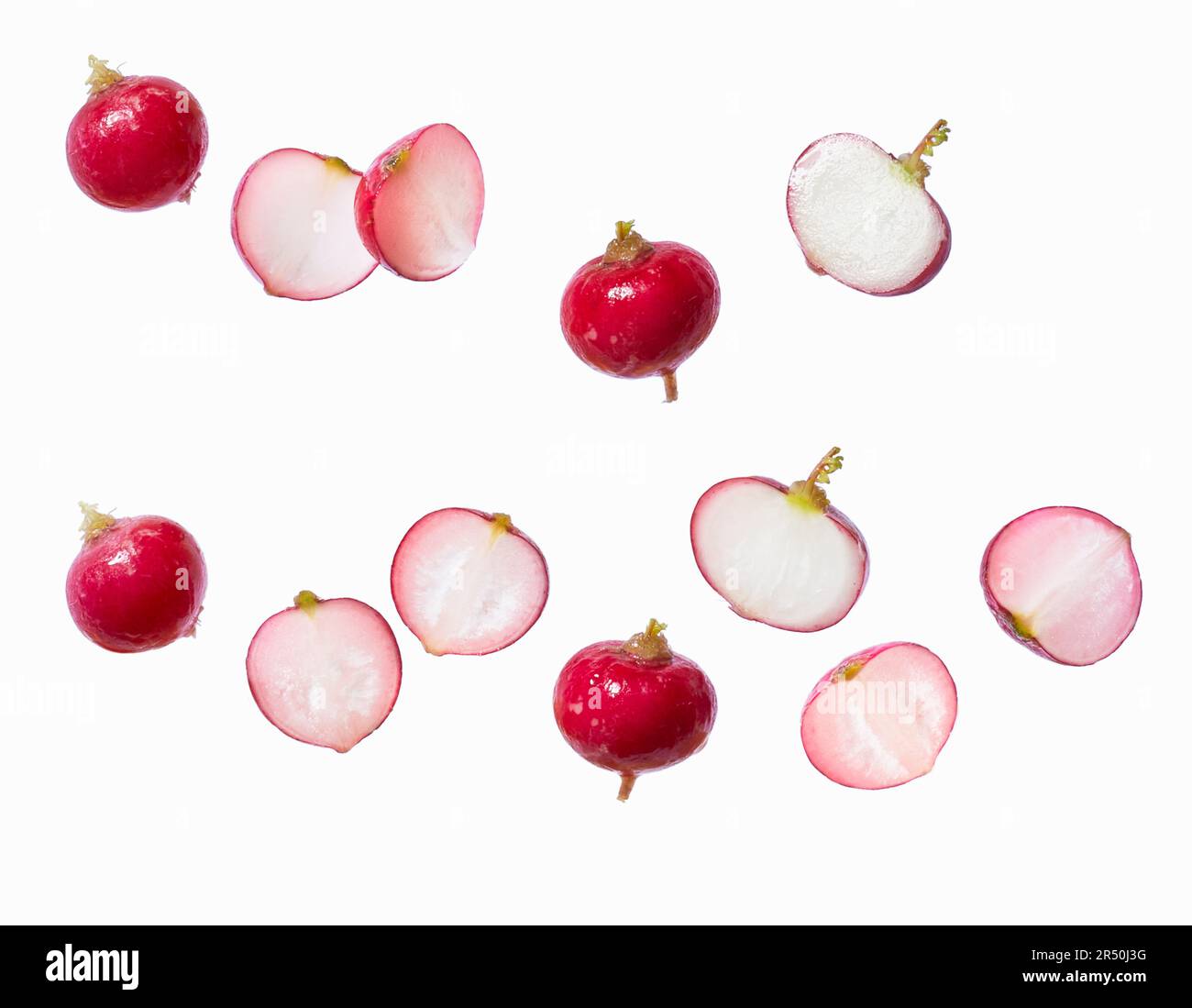 Radishes on white background Stock Photo - Alamy