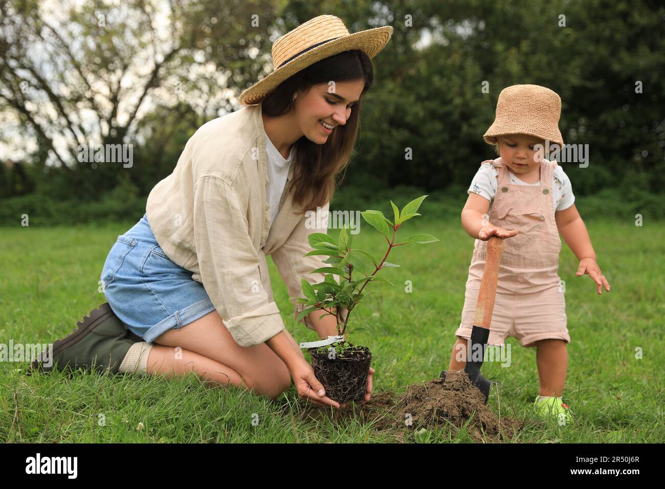 Mother and her baby daughter planting tree together in garden Stock ...
