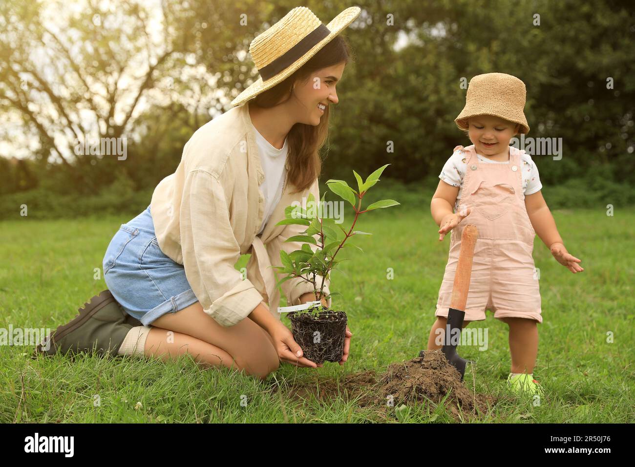 Mother and her baby daughter planting tree together in garden Stock ...