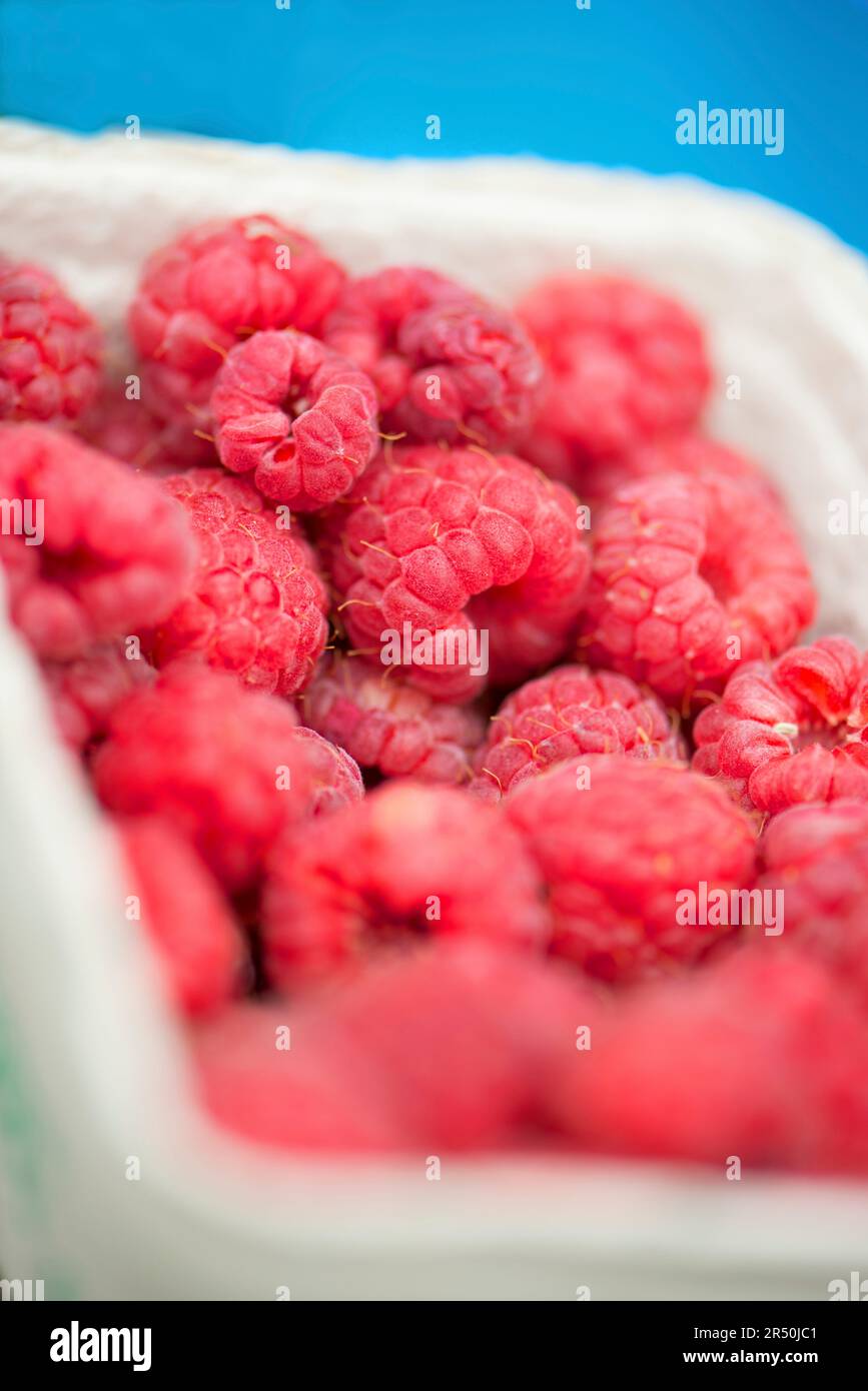 Fresh raspberries in a paper crate (close-up Stock Photo - Alamy