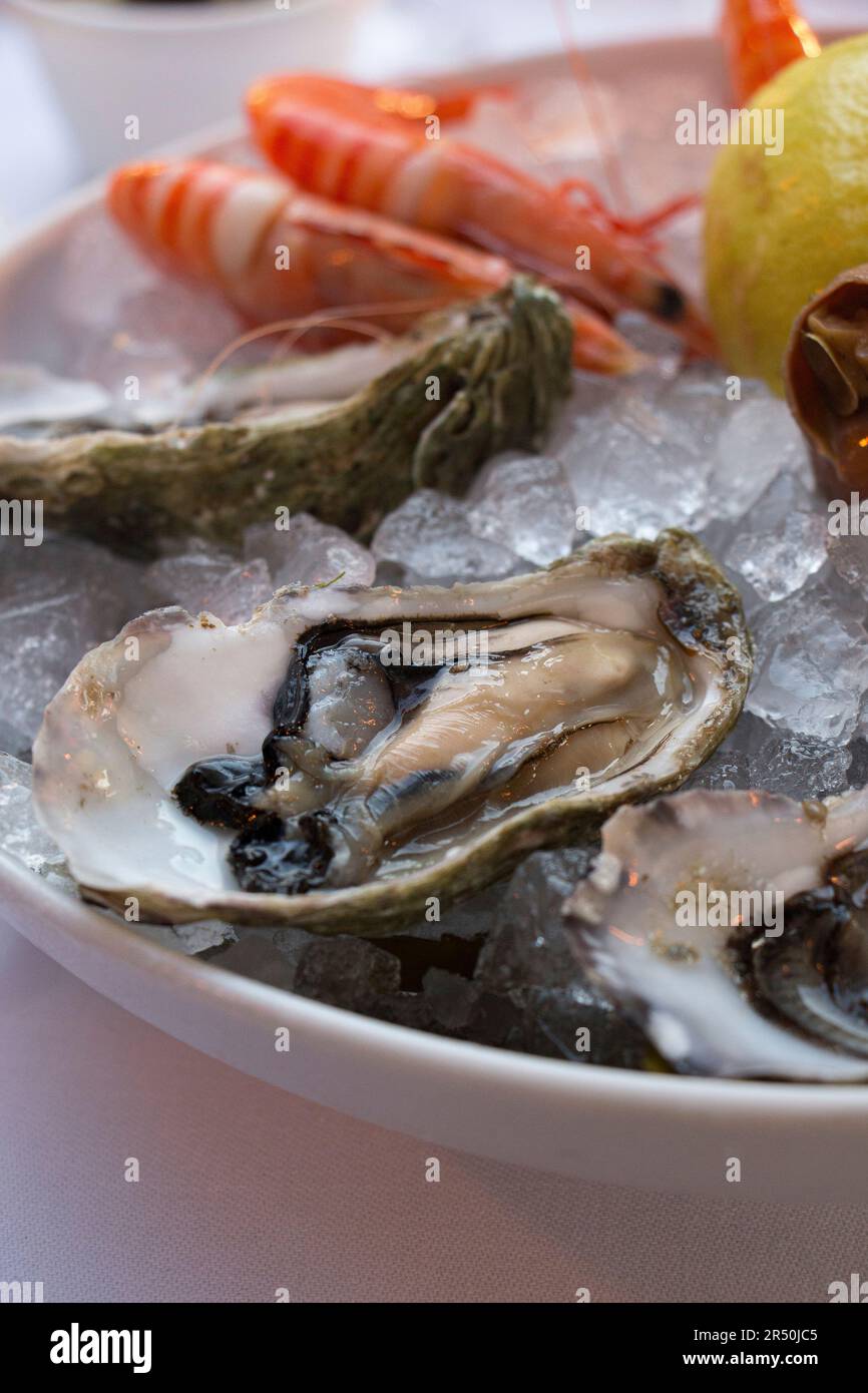 Oyster and seafood Stock Photo - Alamy