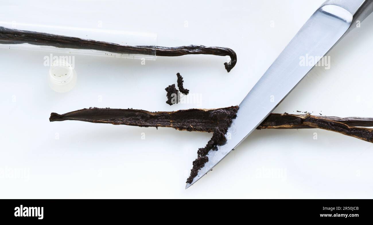 Vanilla pods being scraped out Stock Photo - Alamy