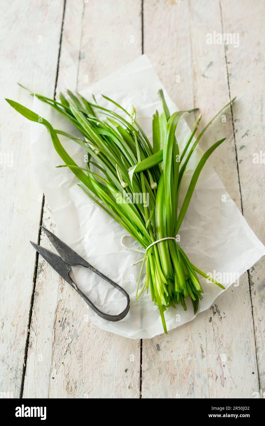 Few flowered leek hi-res stock photography and images - Alamy