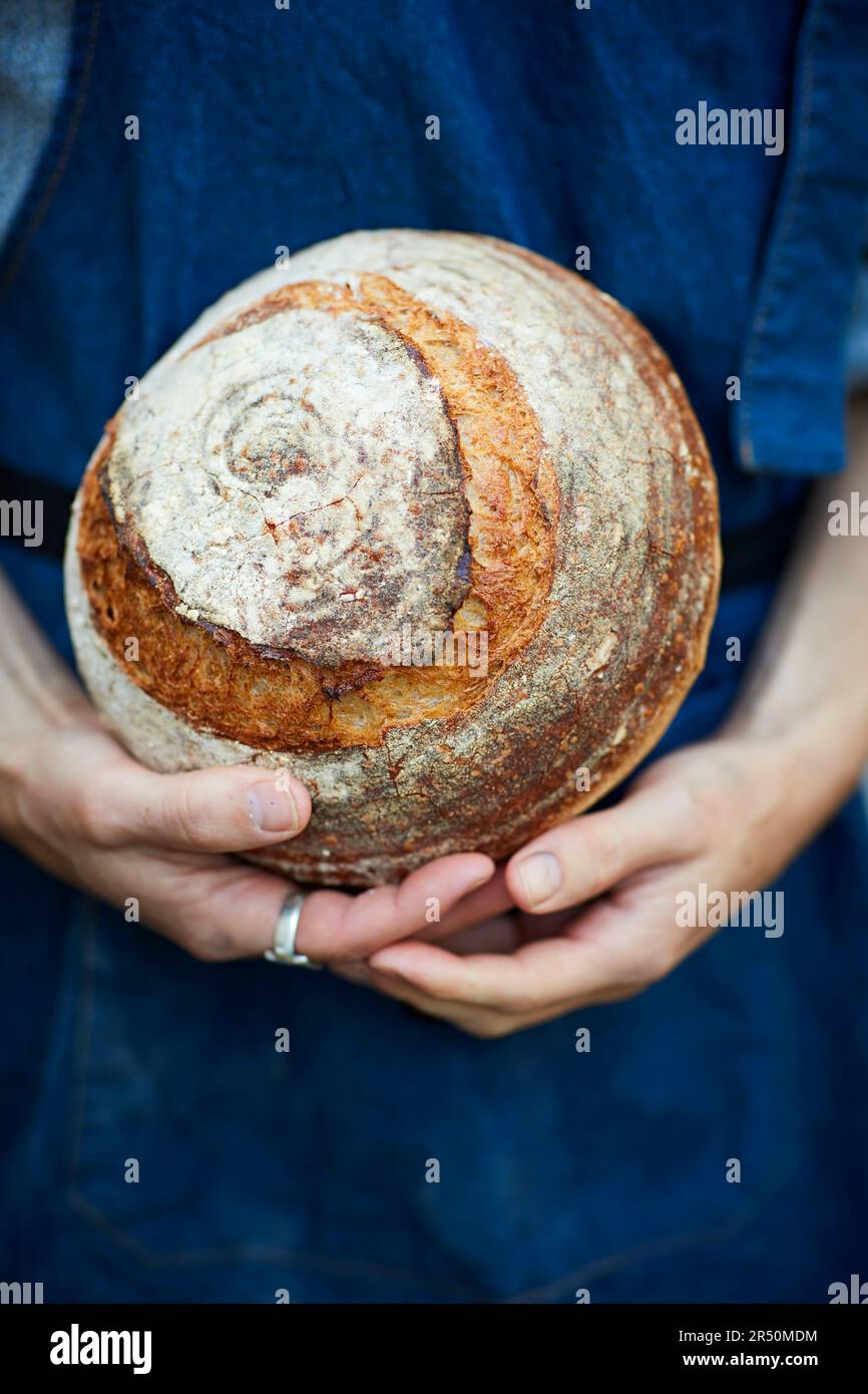 Sourdough bread in a bakers hands Stock Photo - Alamy