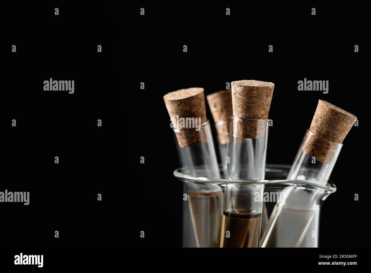 Test tubes with liquid on black background, closeup. Space for text ...