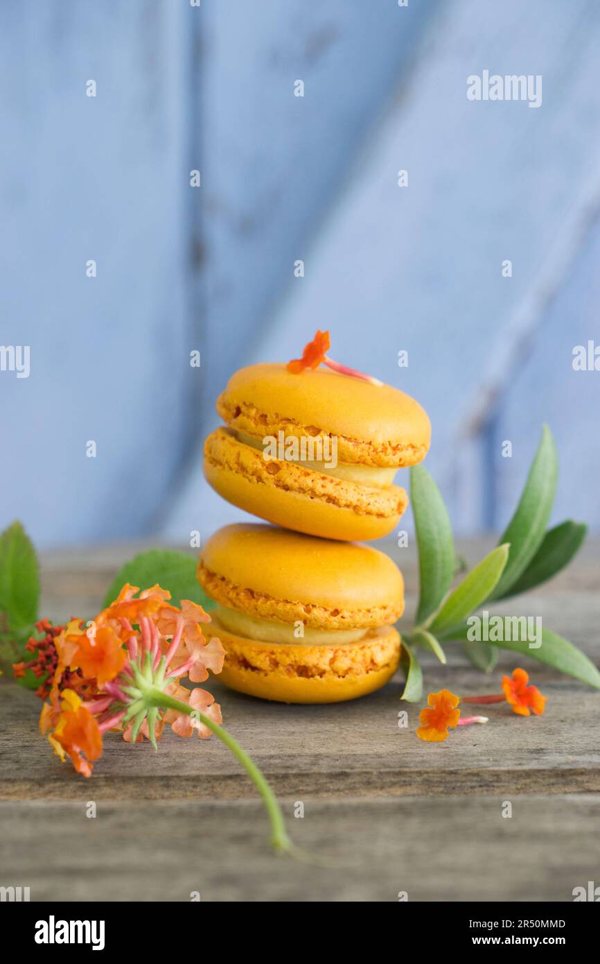 Orange macarons, olive branches, and Lantanas Stock Photo - Alamy