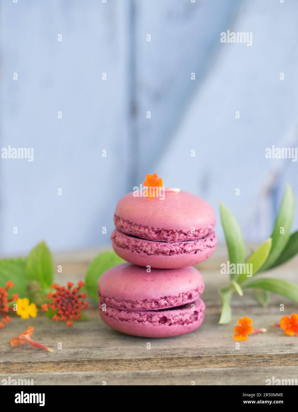 Black currant macarons, olive branches, and Lantanas Stock Photo - Alamy