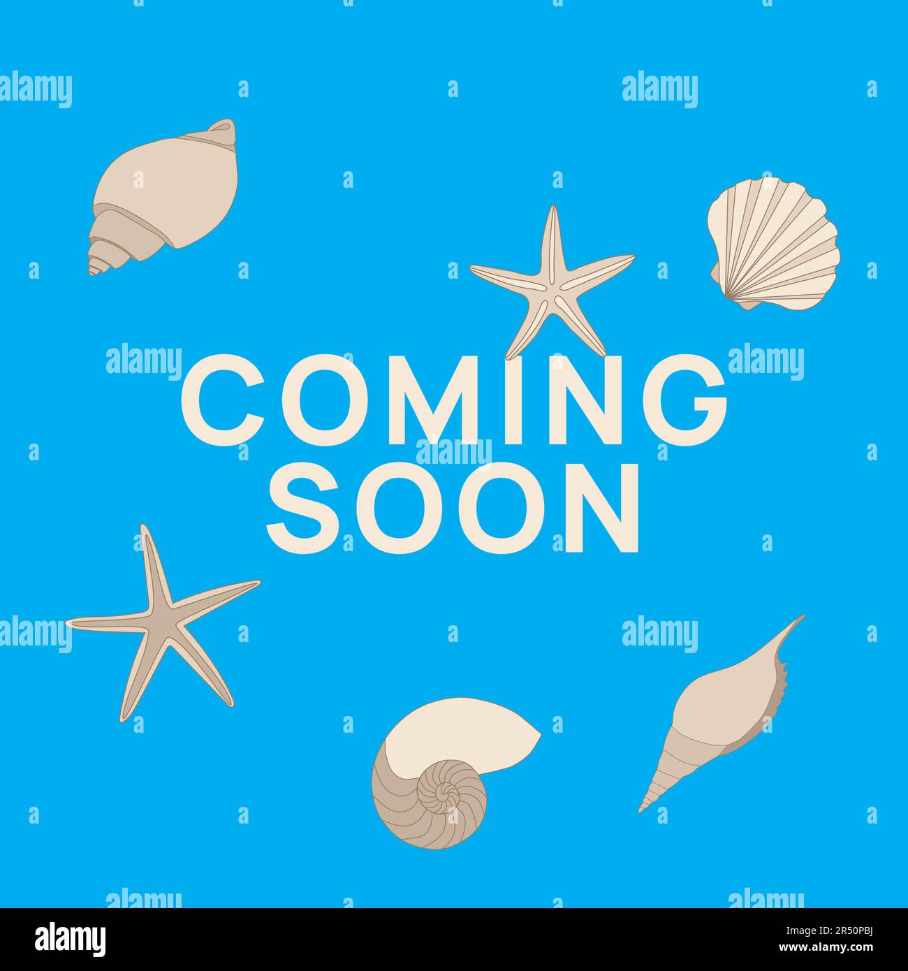 Sale shells Stock Vector Images - Alamy