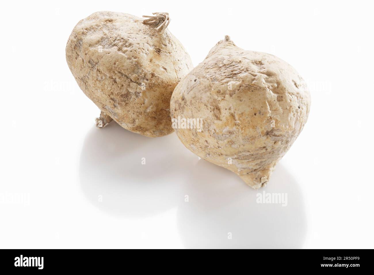 Bengkoang hi-res stock photography and images - Alamy