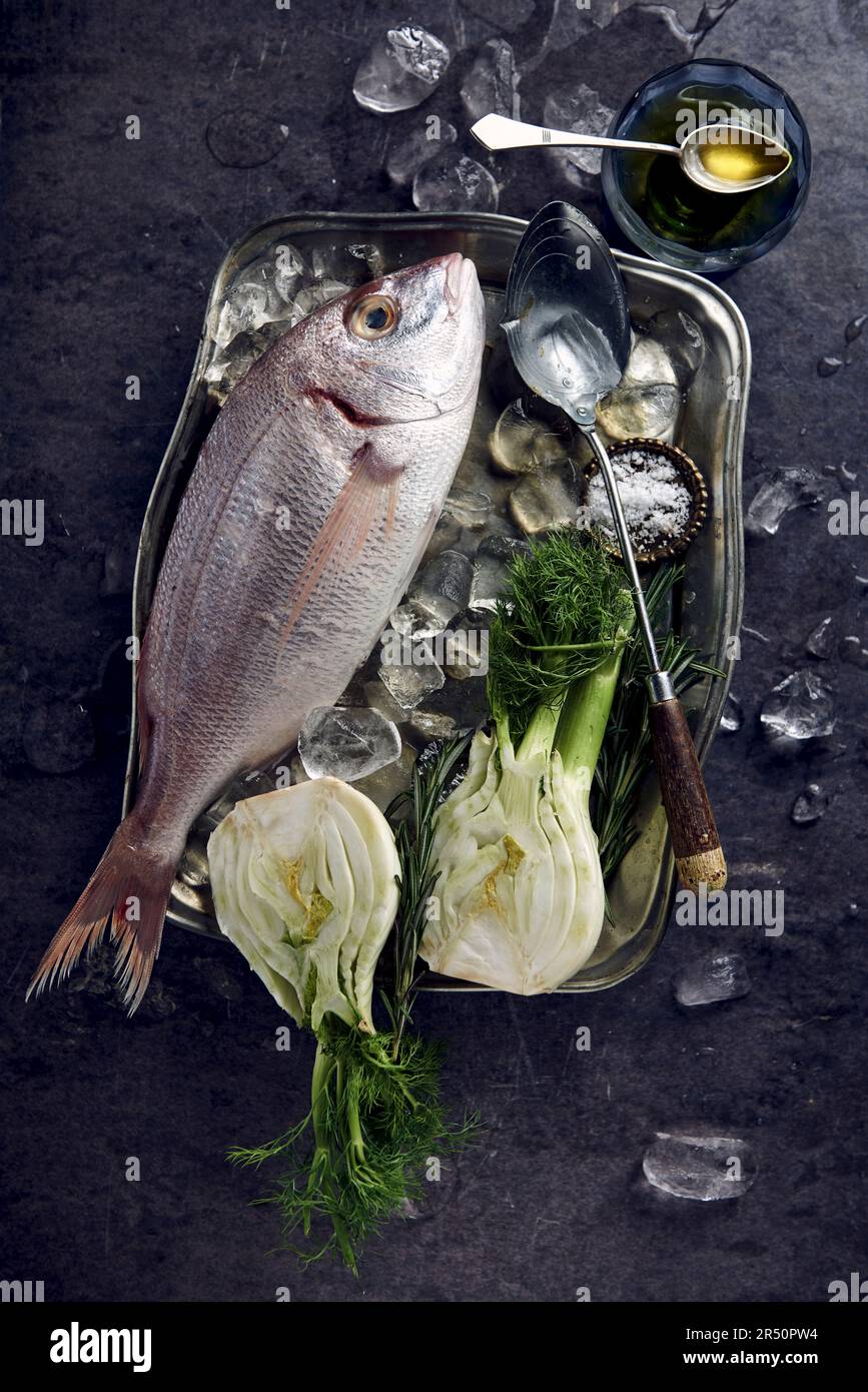 Pink bream and fennel Stock Photo - Alamy