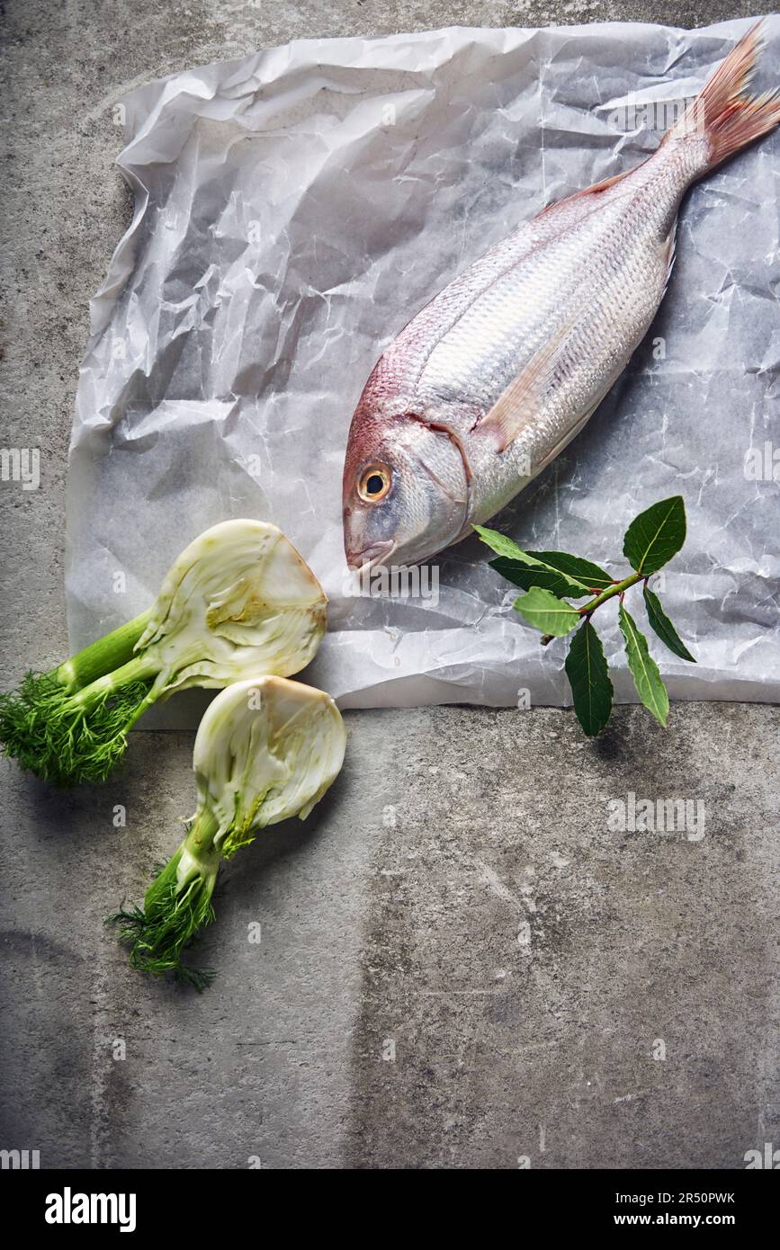 Pink bream and fennel Stock Photo - Alamy