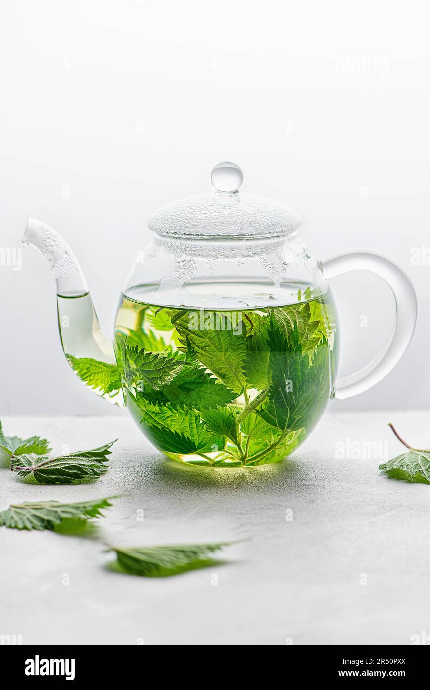 Nettle tea made from spring nettles Stock Photo - Alamy