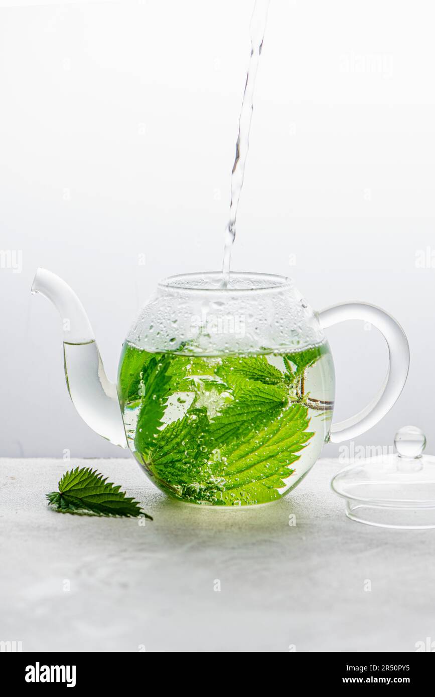Nettle tea made from spring nettles Stock Photo - Alamy