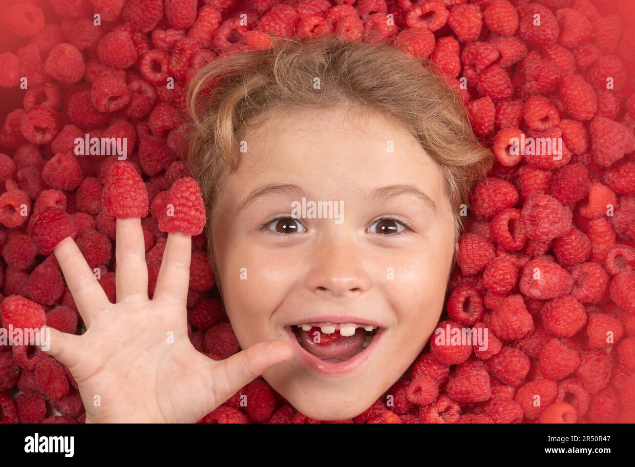 Funny kids face near raspberry background. Cute child eats raspberries ...