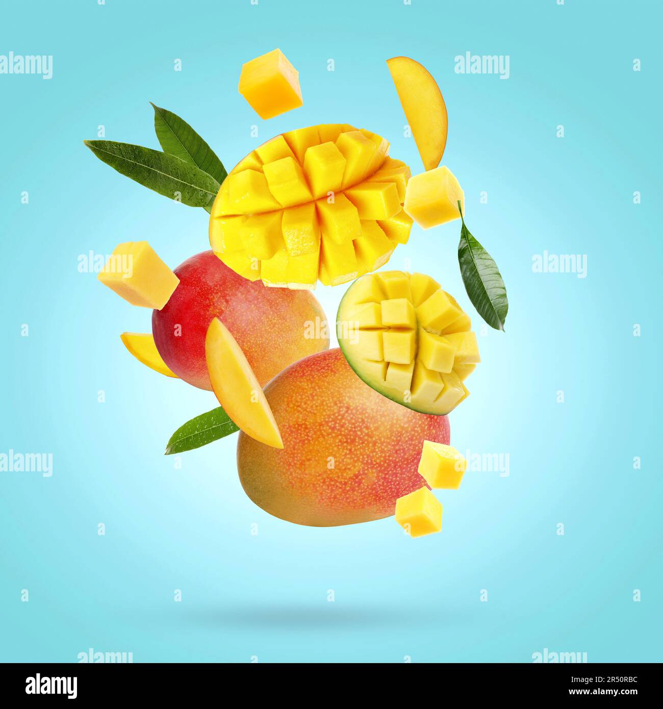 Delicious mango fruits and leaves falling on turquoise background Stock ...