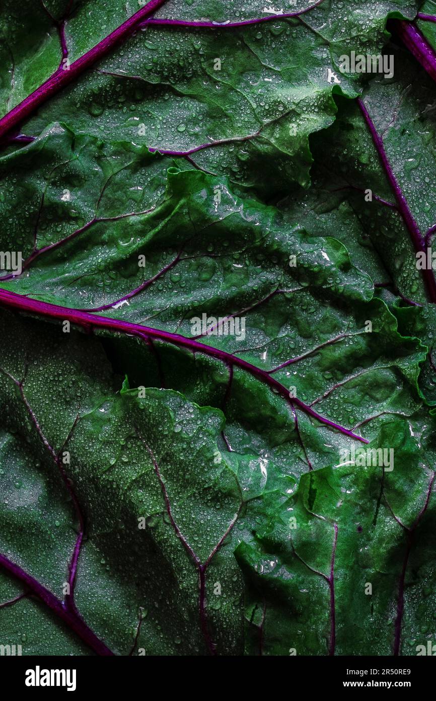 Food picture of beet hi-res stock photography and images - Alamy