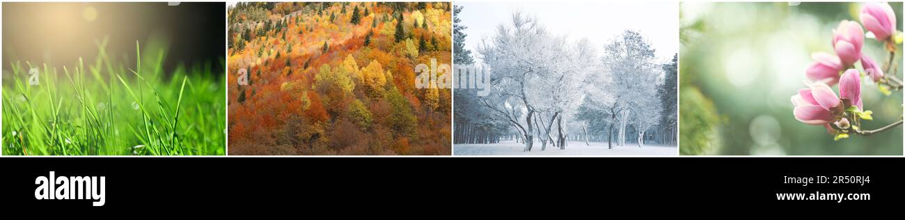 Four seasons. Collage design with beautiful photos of nature Stock ...