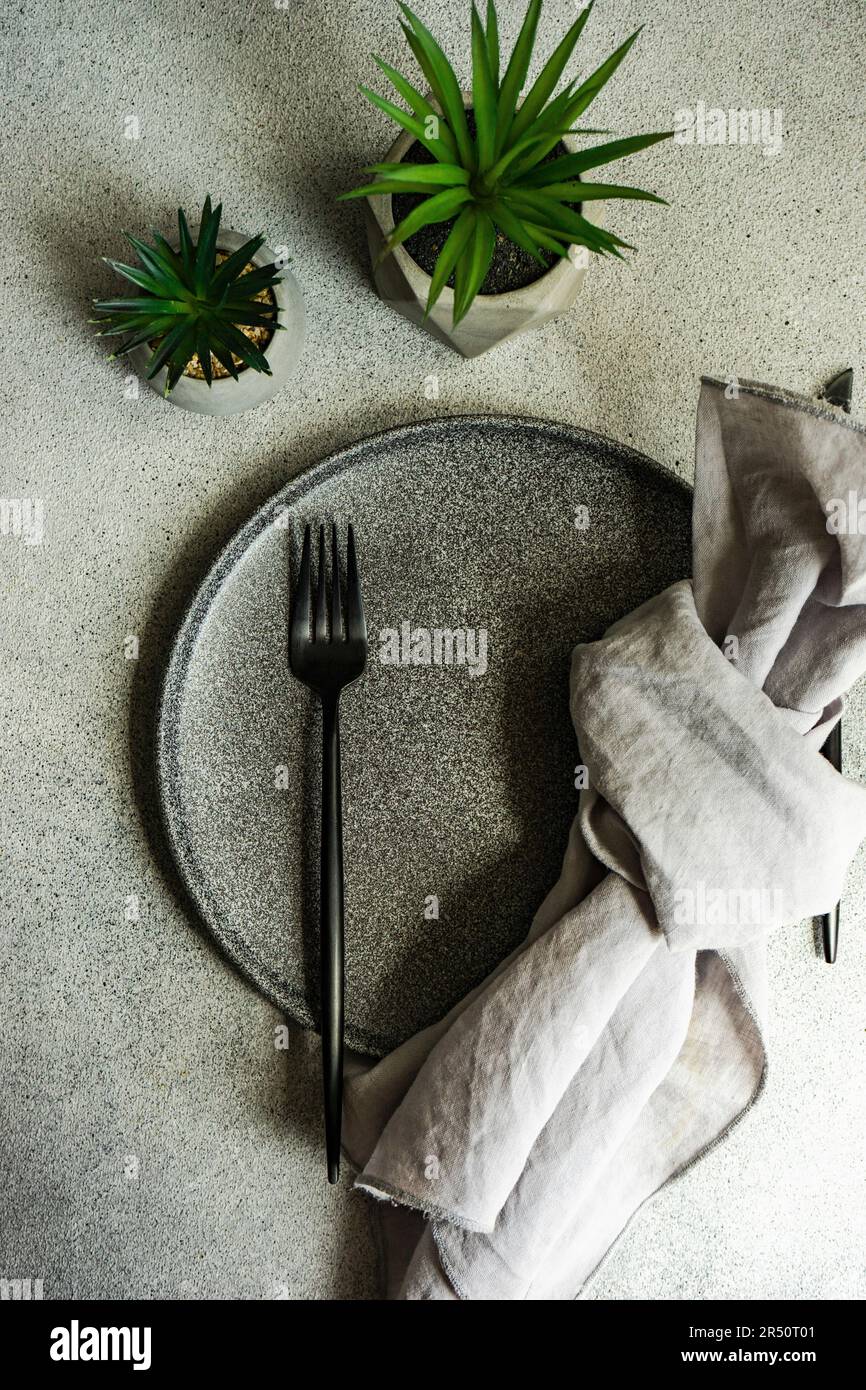 Minimalistic table setting cactus plants in the pot on concrete ...
