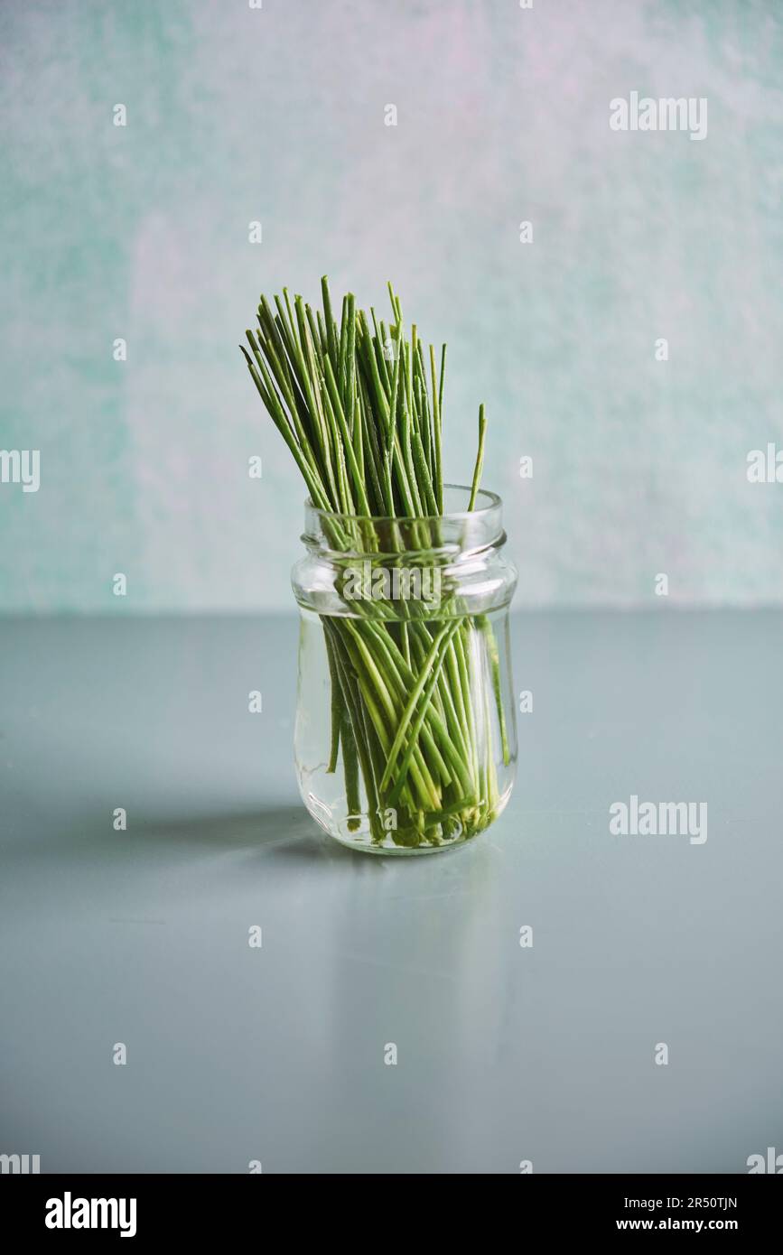 Chives in water hi-res stock photography and images - Alamy