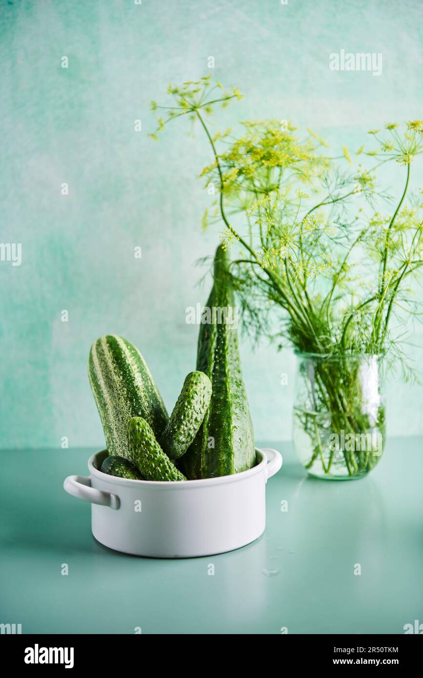 Cucumber, land cucumber, gherkin and flowering dill Stock Photo - Alamy Cucumber, land cucumber, gherkin and flowering dill Stock Photo - Alamy