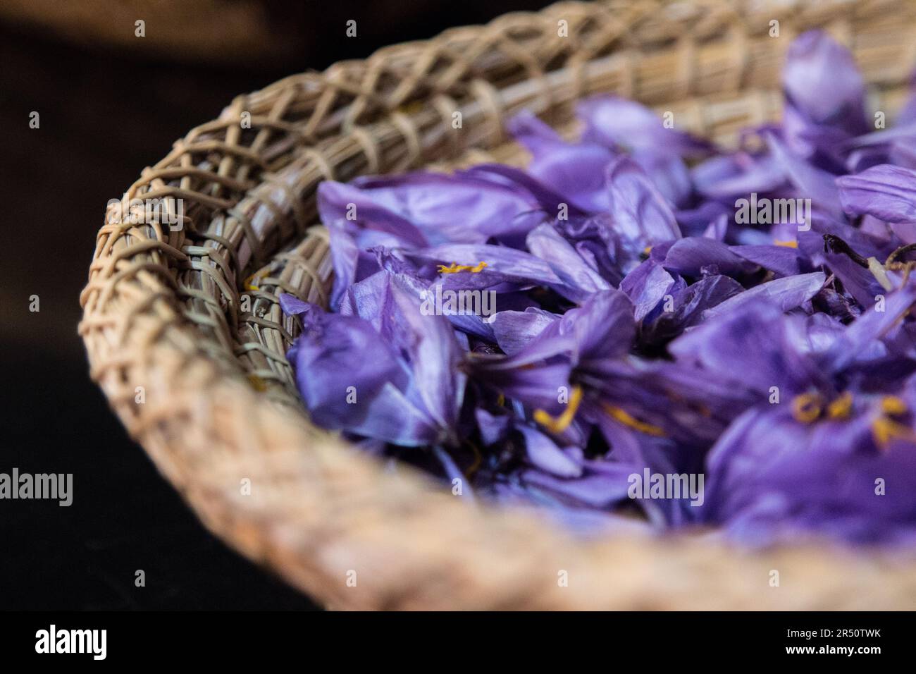 Saffron Flower Petals Stock Photo - Alamy