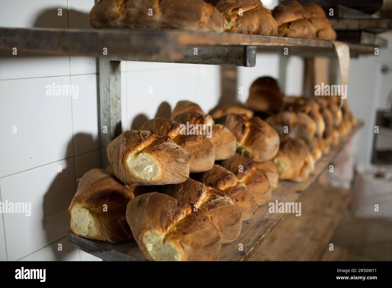Pane di Altamura (Italian durum wheat bread) in a bakery Stock Photo ...