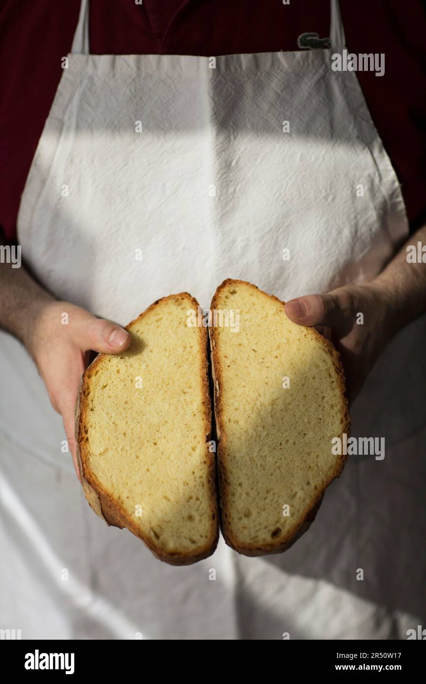Baker holding halved Pane di Altamura (Italian durum wheat bread) in ...