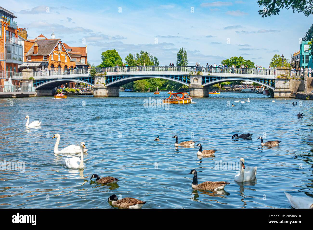 Looking down The River Thames at the bridge between Windsor and Eton in ...