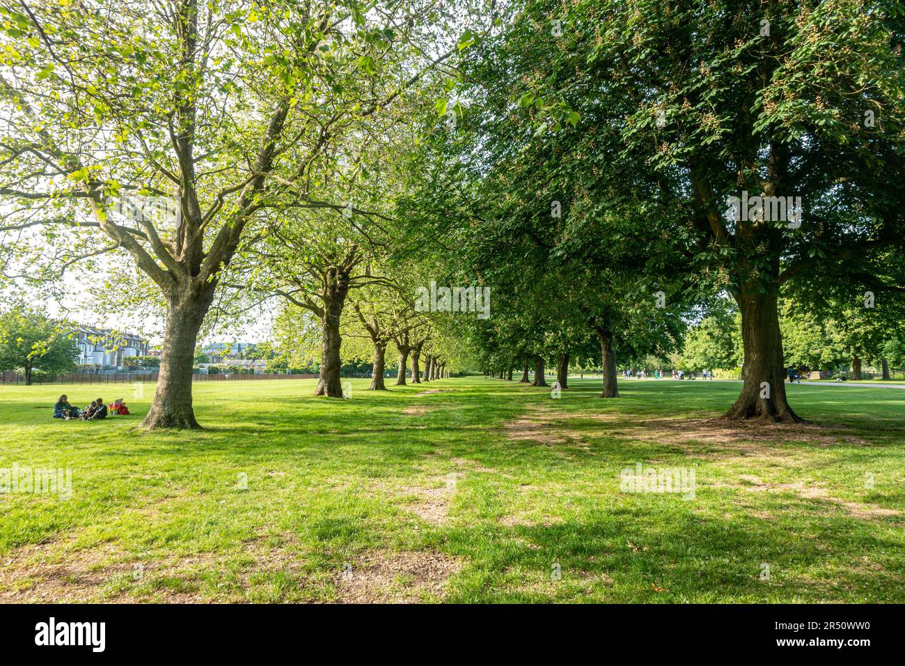 People sat underneath trees alongside The LongWalk at Windsor in ...