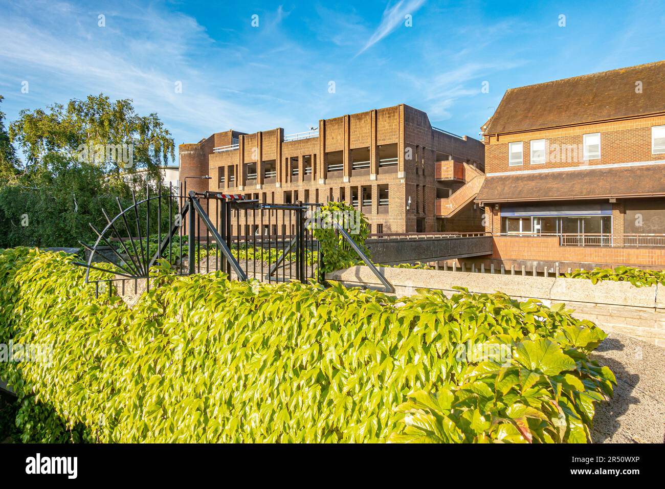 The pathway leading to the Ward Royal complex from Windsor town centre ...