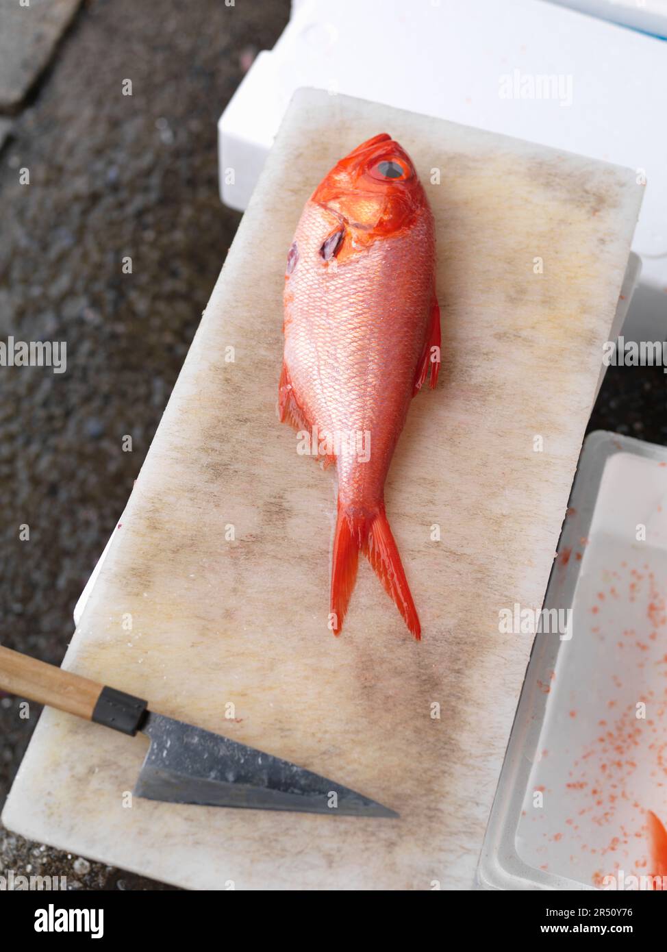 Fresh fish at the Tsukiji fish market in Tokyo, Japan, Asia Stock Photo ...