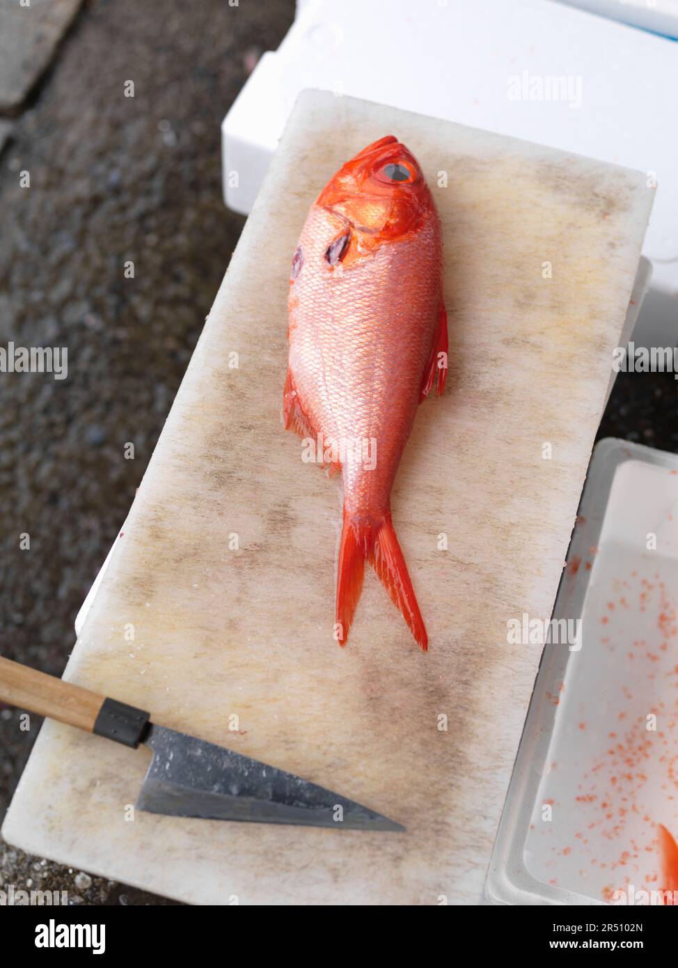 A red fish on a chopping board Stock Photo - Alamy