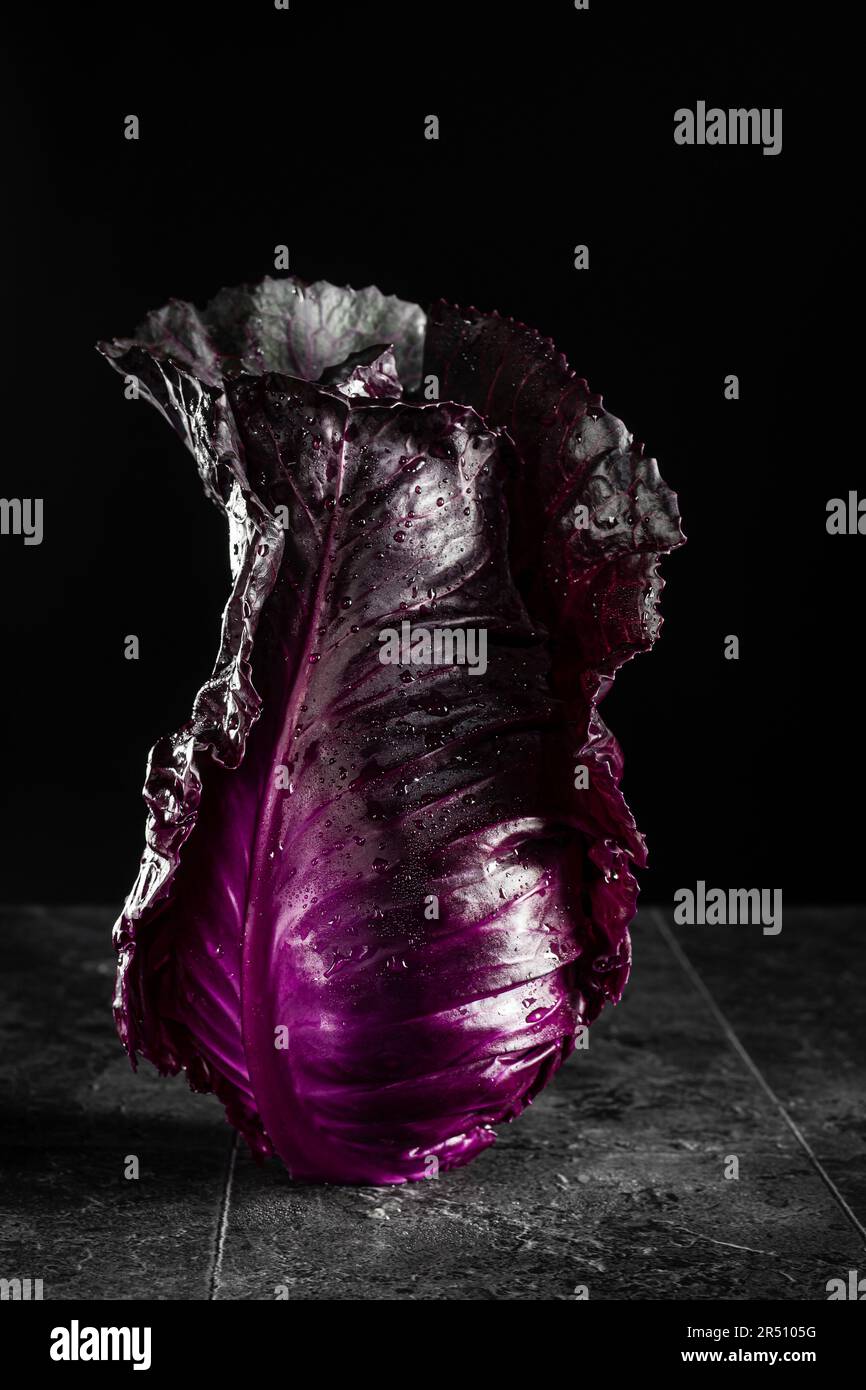 Kalibos red cabbage hi-res stock photography and images - Alamy