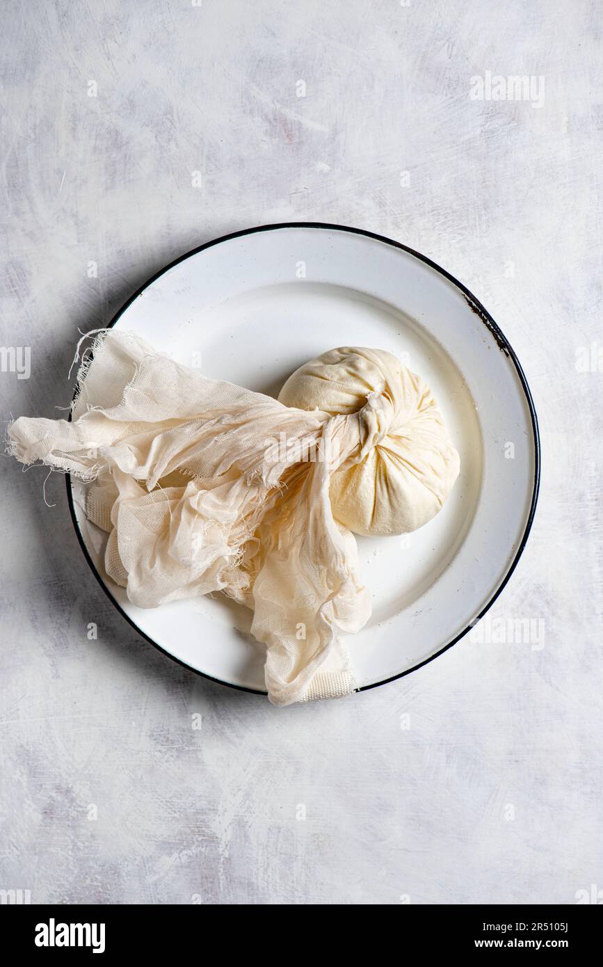 Cheese strain hi-res stock photography and images - Alamy