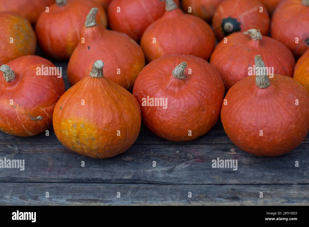 One too many pumpkins hi-res stock photography and images - Alamy