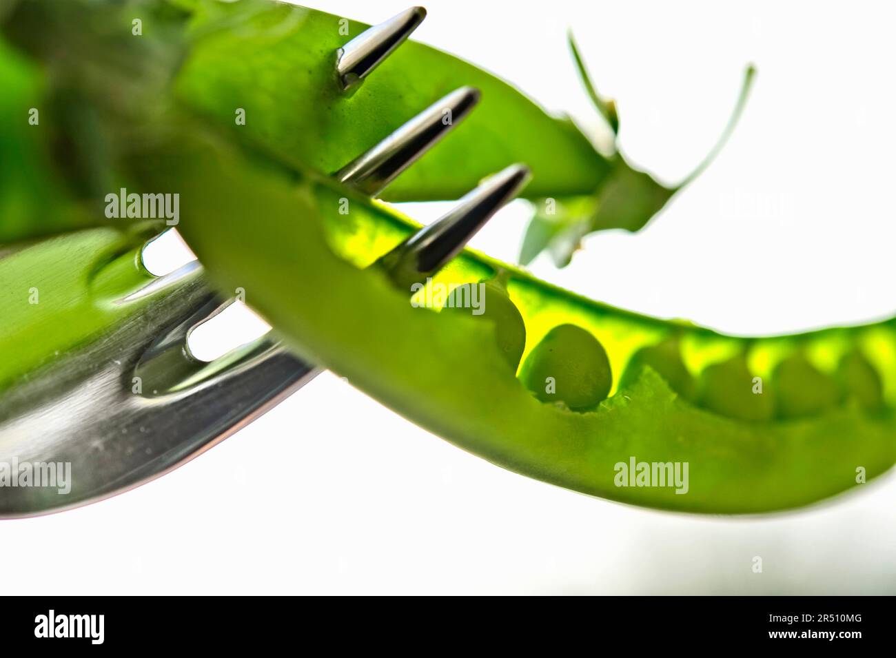 Fresh pea on fork hi-res stock photography and images - Alamy