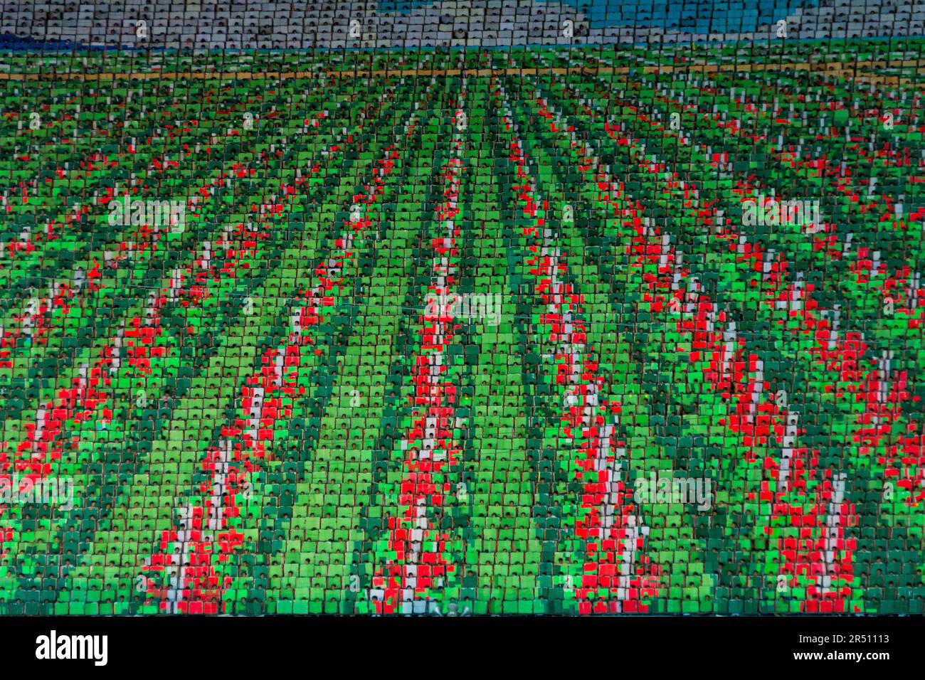 Arirang Mass games in Pyongyang, North Korea Stock Photo - Alamy
