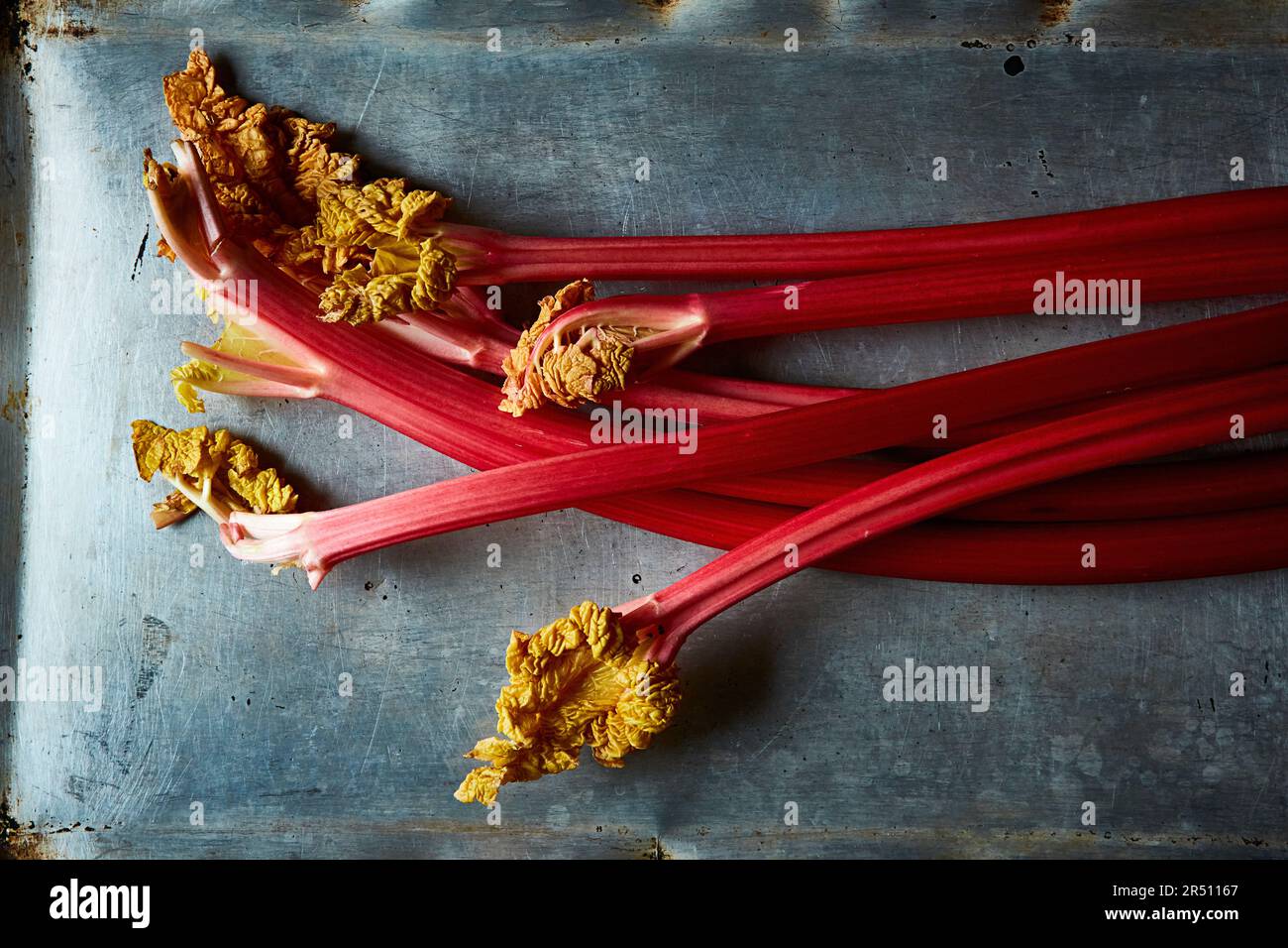 Rhubarb stalks on a metal background Stock Photo - Alamy