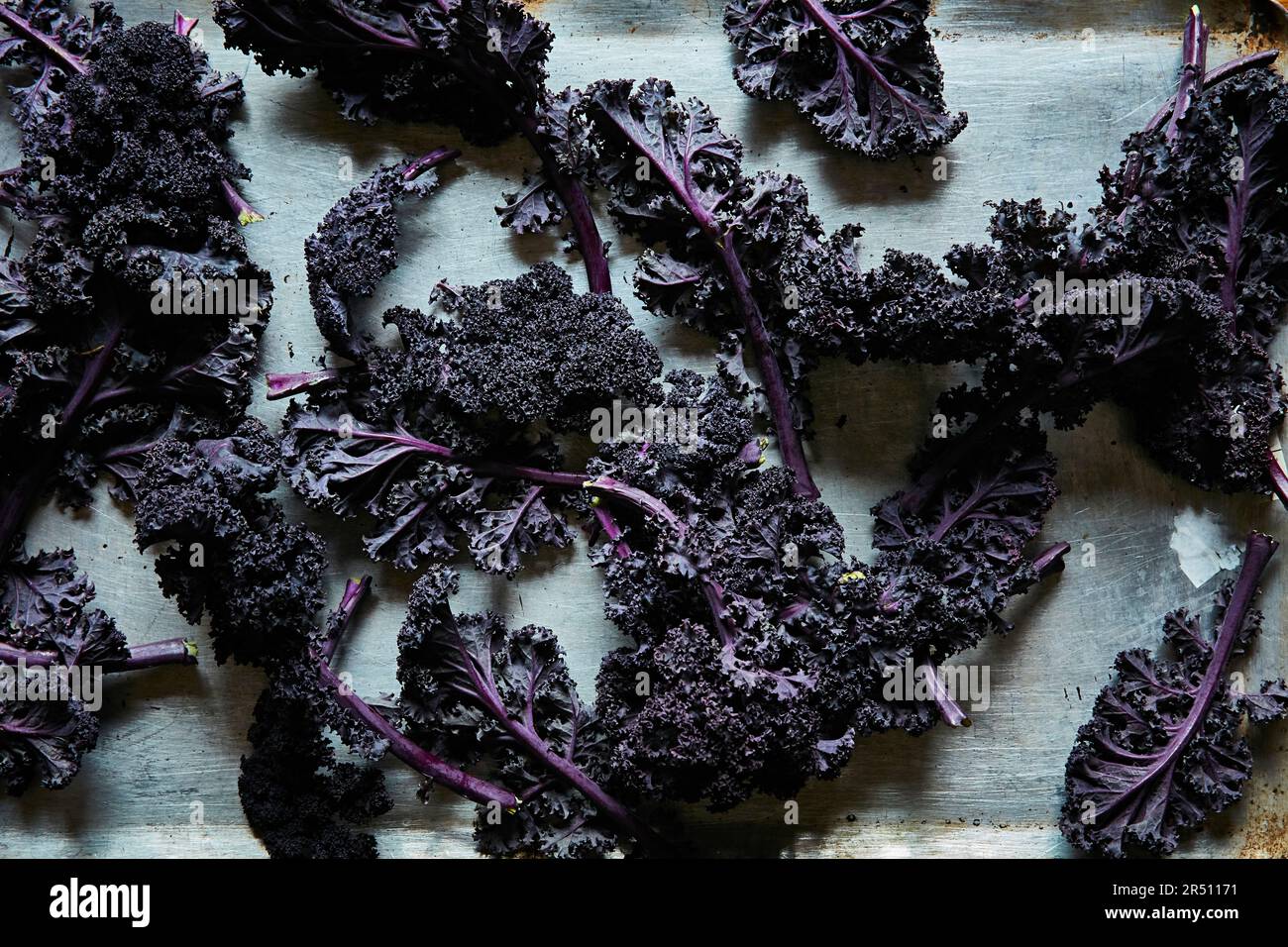 Purple kale (full picture Stock Photo - Alamy