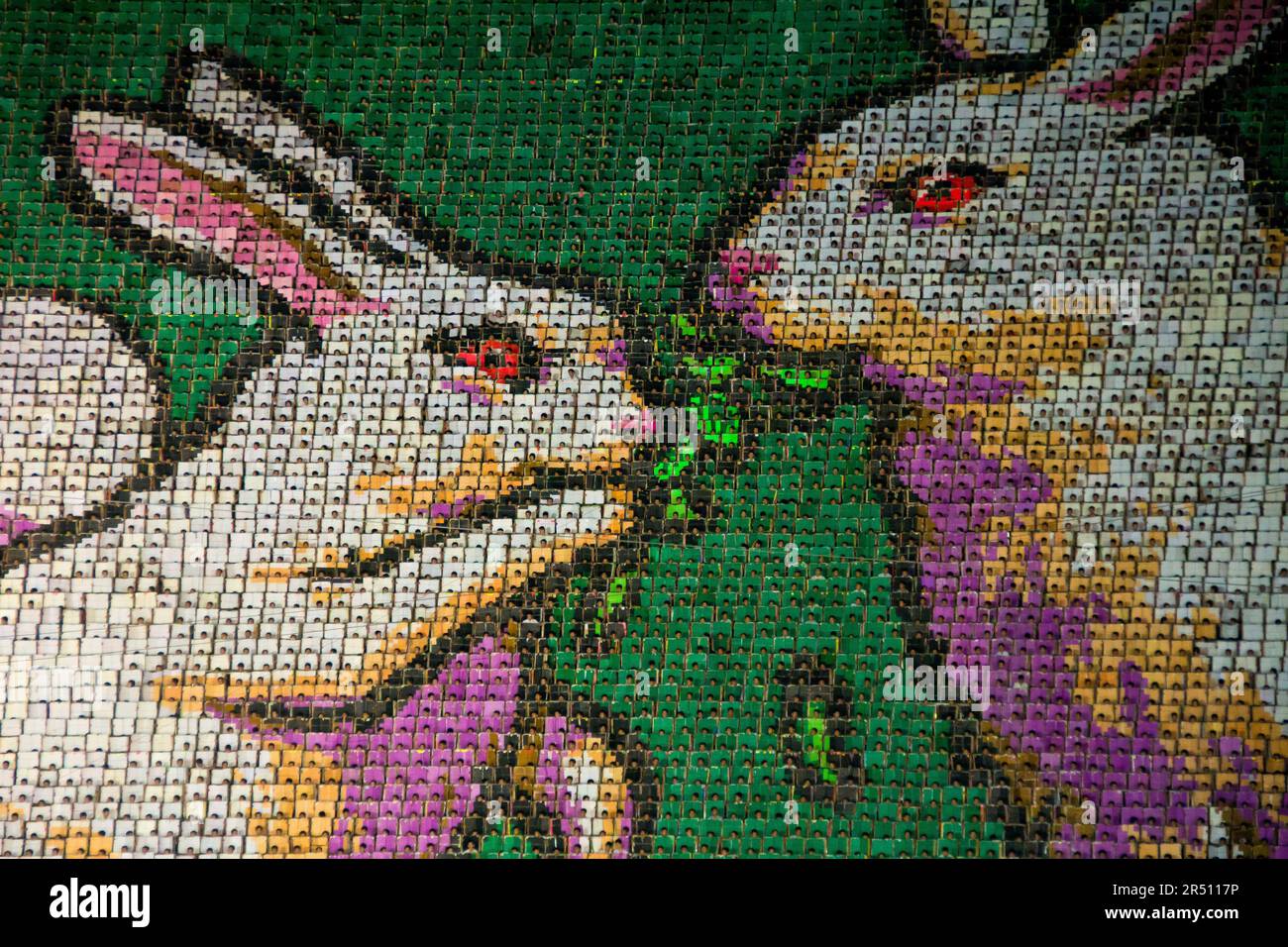 Arirang Mass games in Pyongyang, North Korea Stock Photo - Alamy