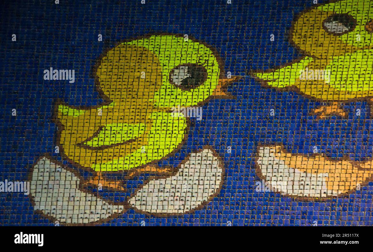 Arirang Mass games in Pyongyang, North Korea Stock Photo - Alamy