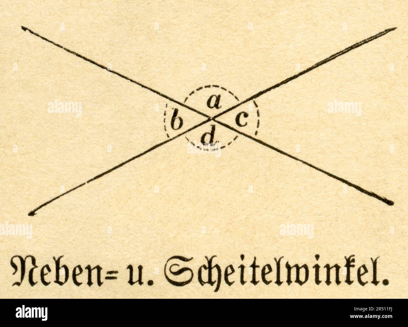 Nebenwinkel und Scheitelwinkel, Illustration aus : " Die Welt in ...