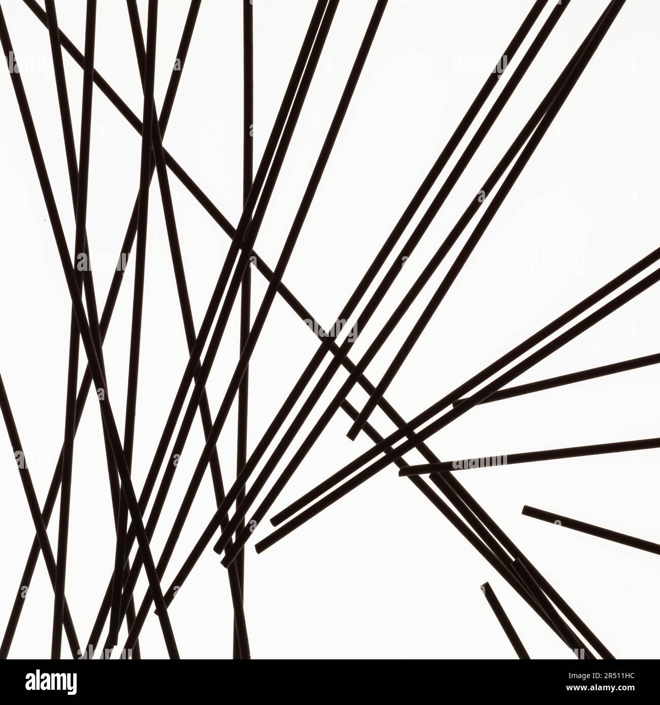 Squid ink spaghetti on a white background Stock Photo - Alamy