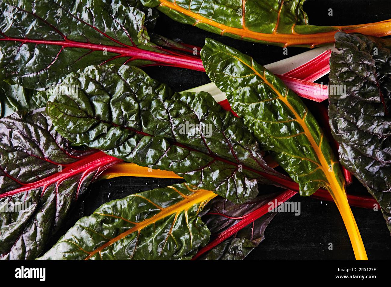 Rainbow chard (full picture Stock Photo - Alamy