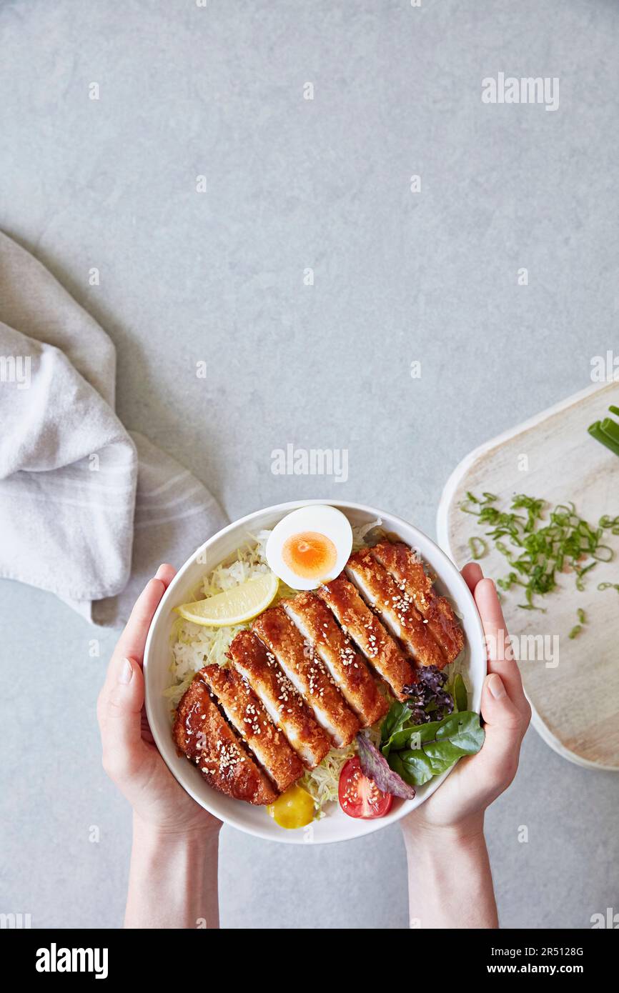 Chicken with boiled egg on rice (Japan Stock Photo - Alamy