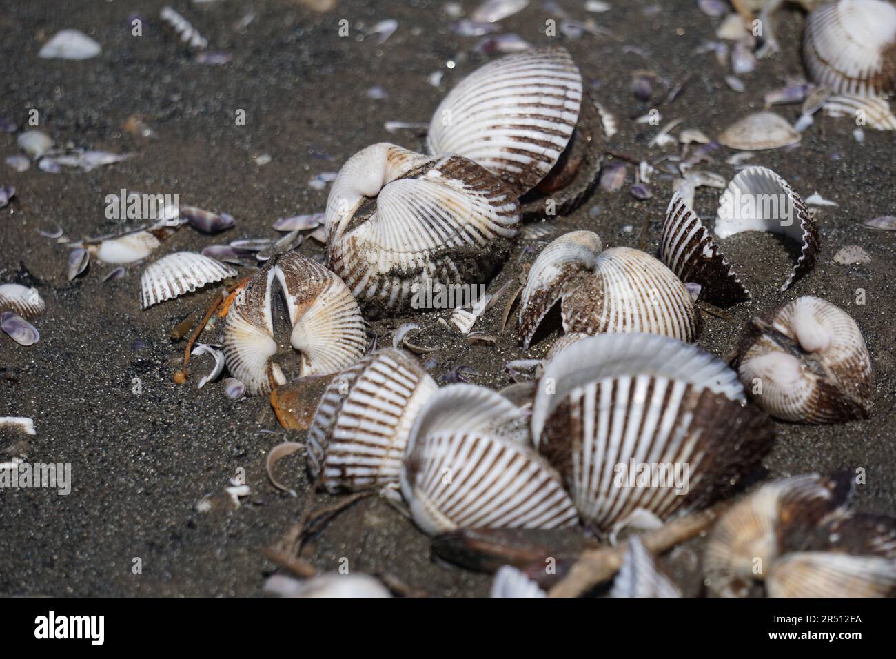 Ship closeup on mediterranean sea hi-res stock photography and images ...